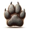 Dog Paw Prints: A Window into Your Dog’s World - Dog Grooming